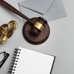 Court Services - Fimkin Translation
